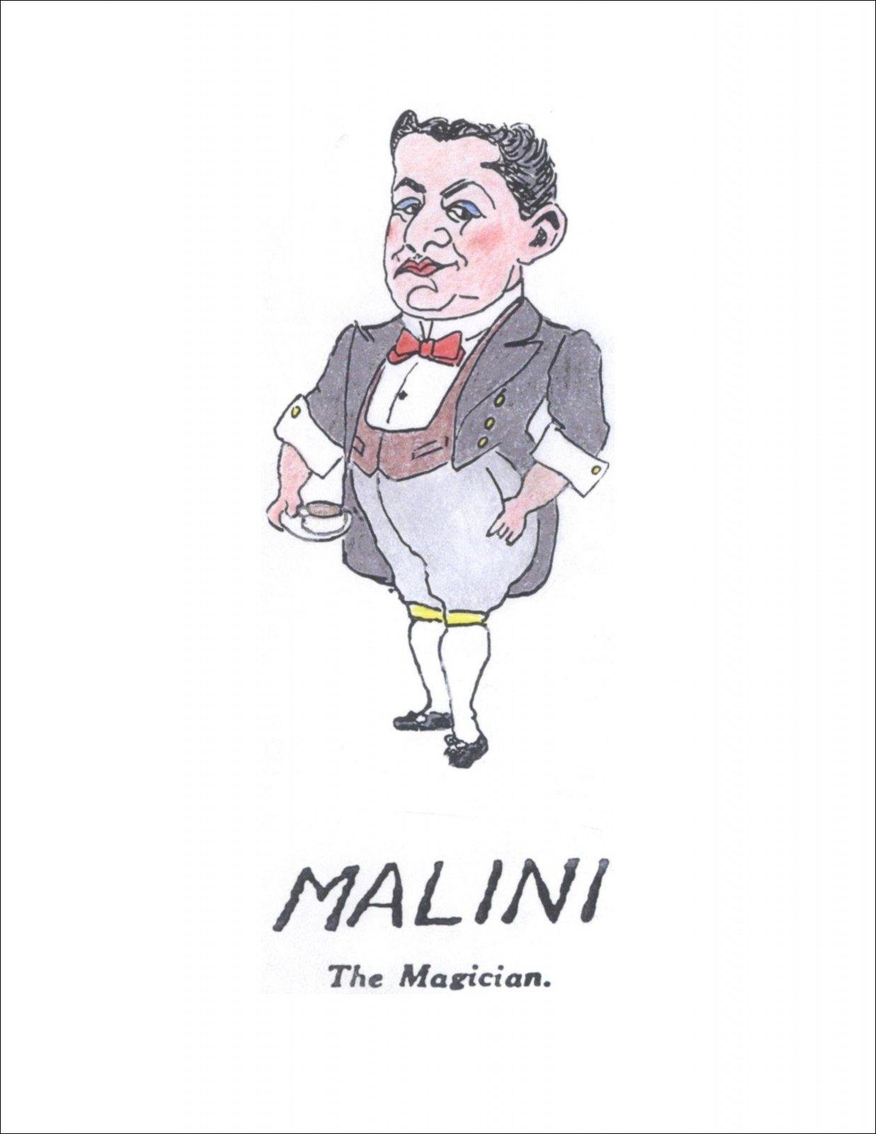 Fine Art of Palming Cards by Brick Tilley : Lybrary.com