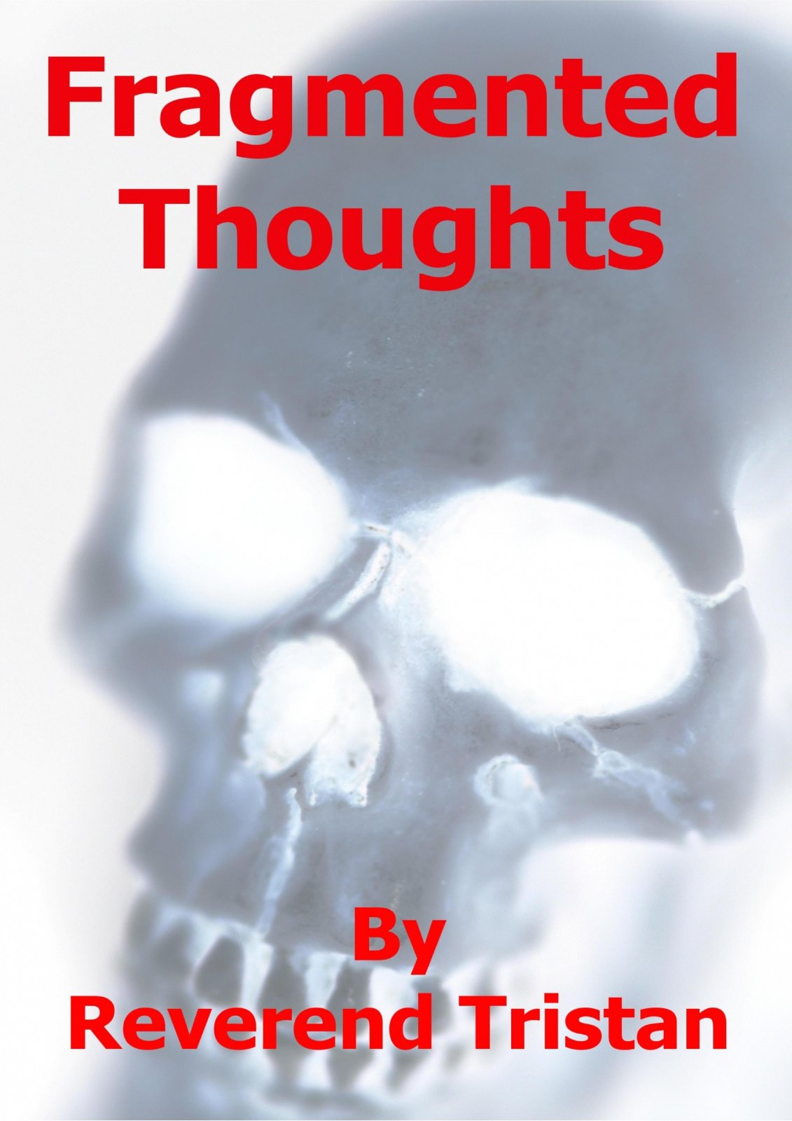 Fragmented Thoughts by Reverend Tristan : Lybrary.com