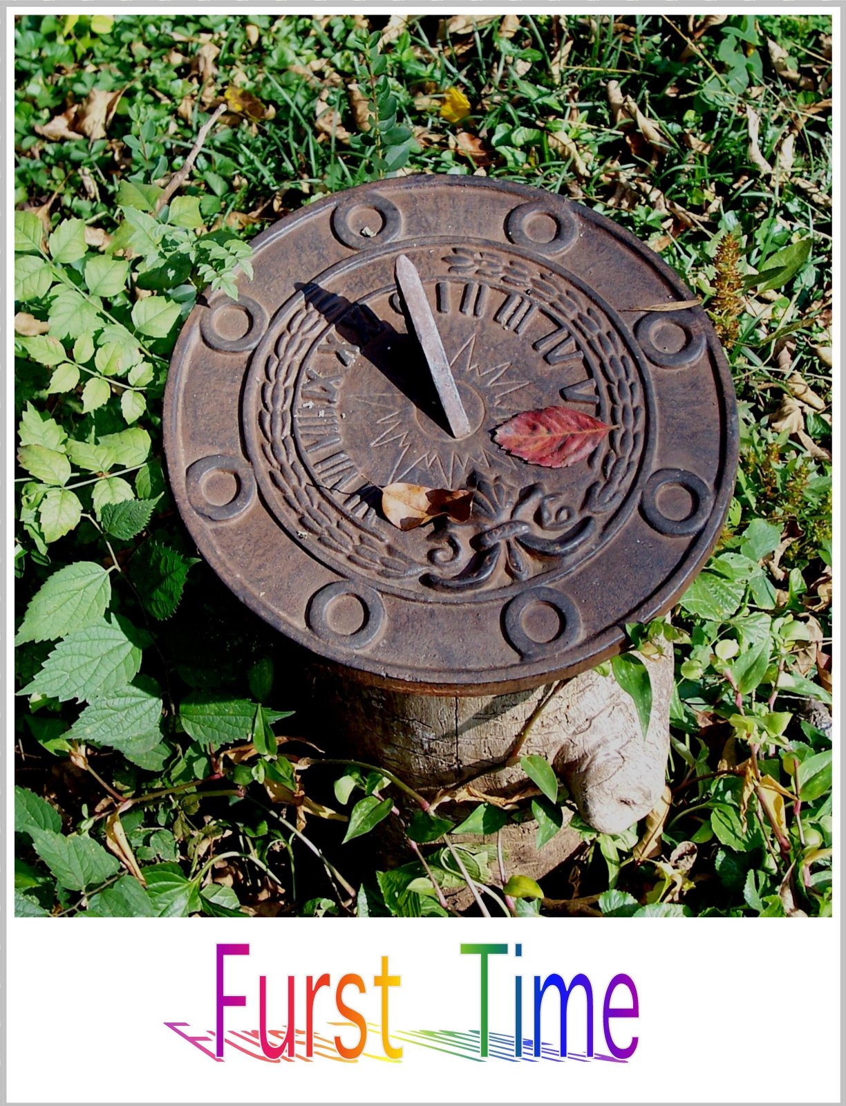 Furst Time by Ken Muller : Lybrary.com