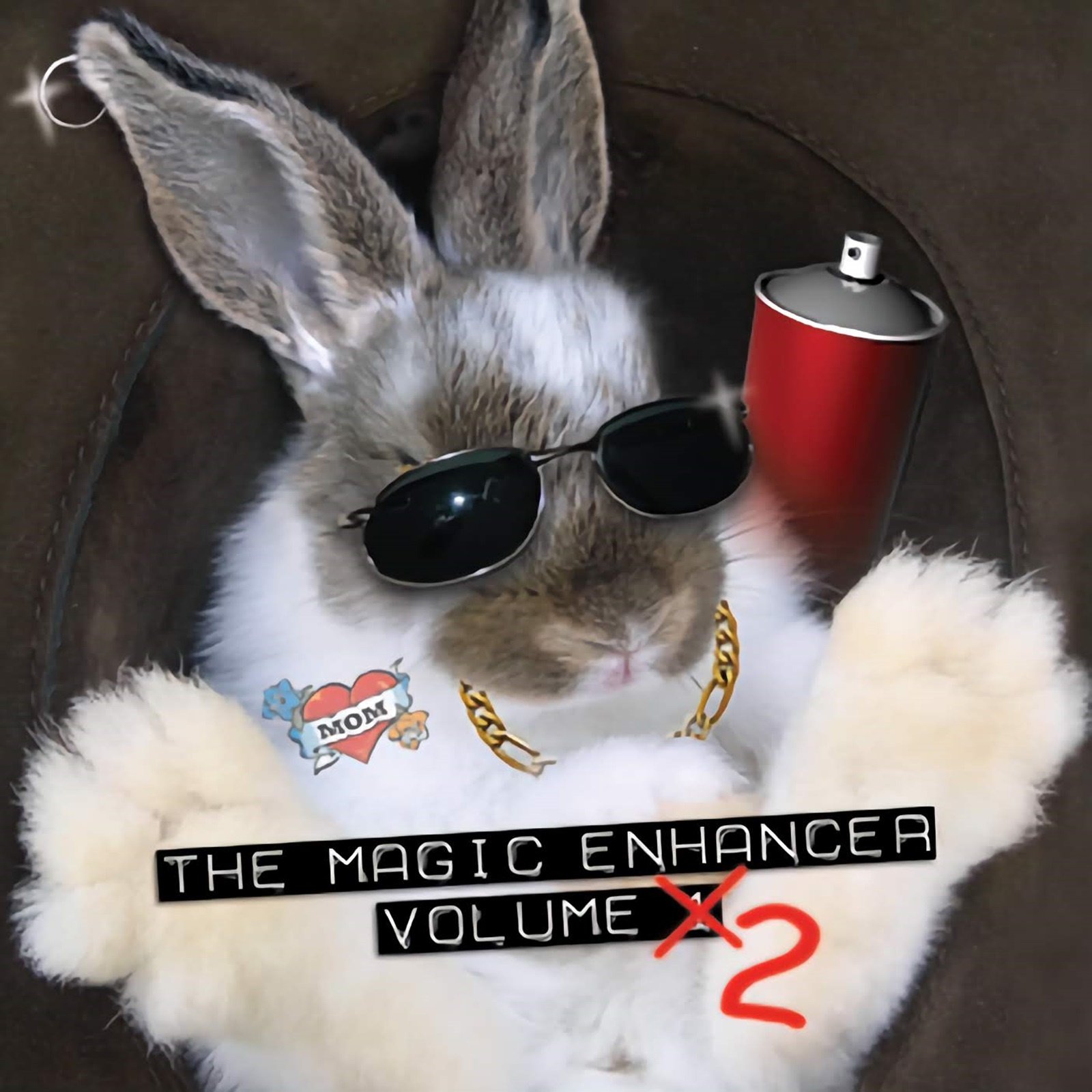 Magic Enhancer 2: Welcomes by Robert Haas : Lybrary.com