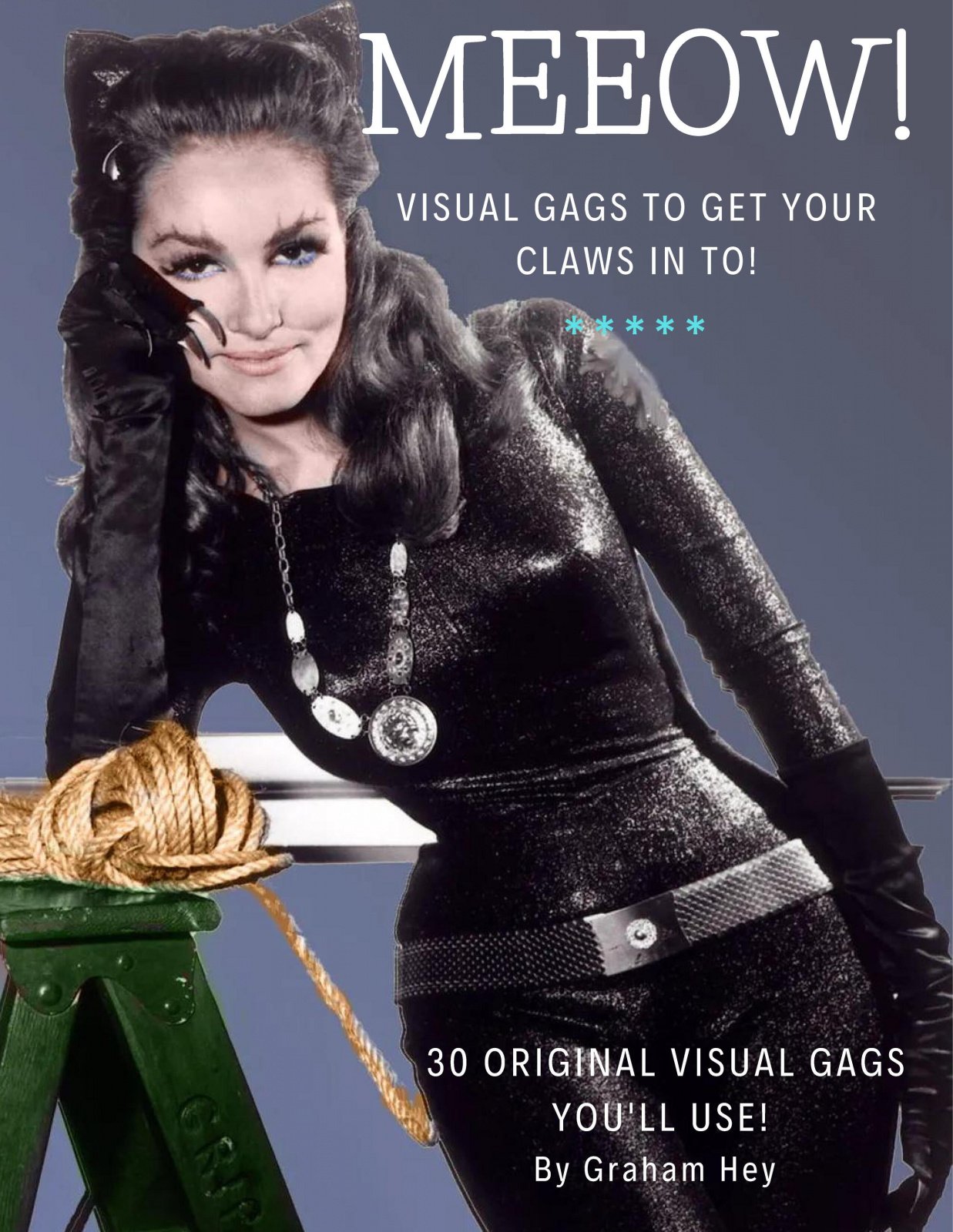 Meeow! by Graham Hey : Lybrary.com