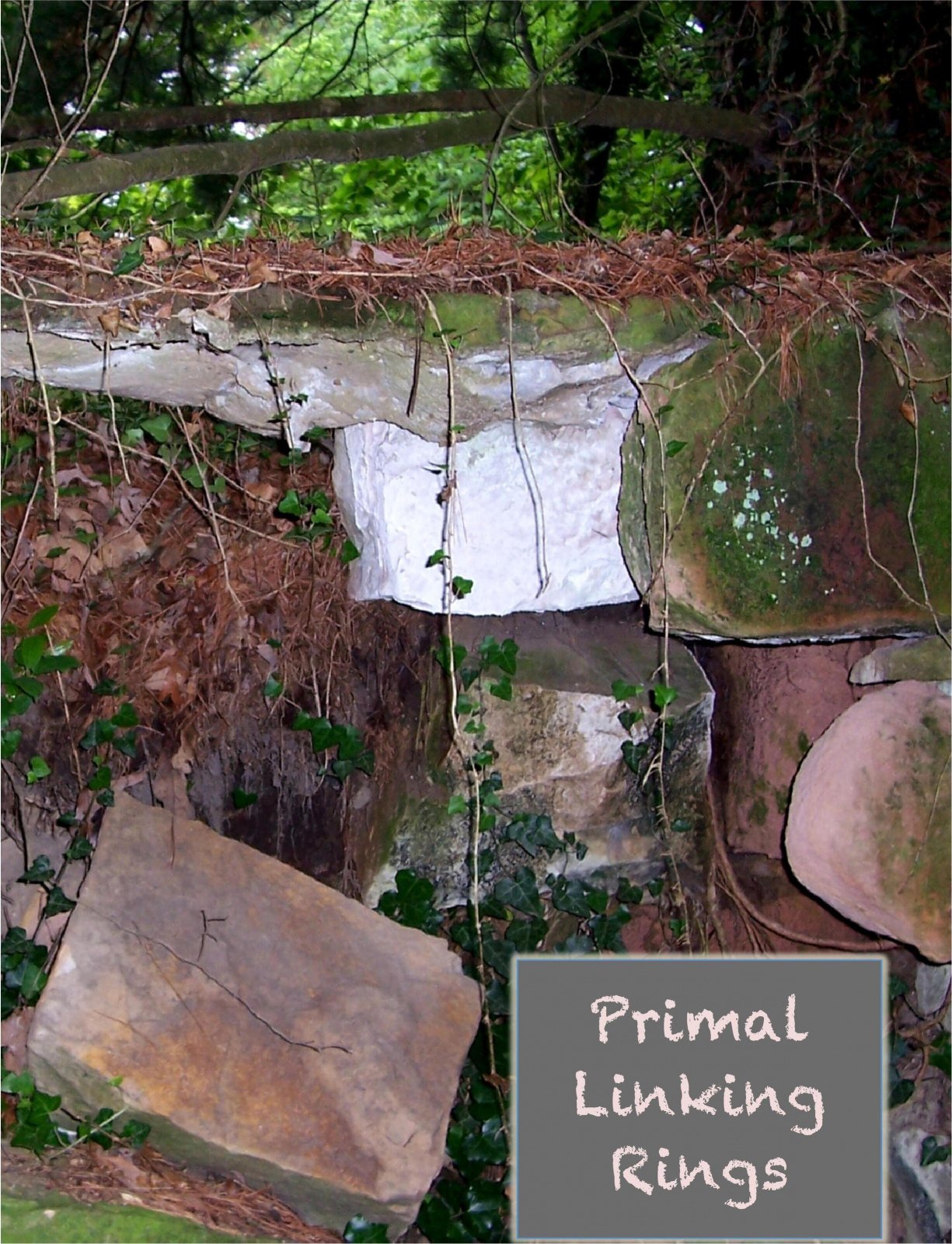 Primal Linking Rings by Ken Muller : Lybrary.com