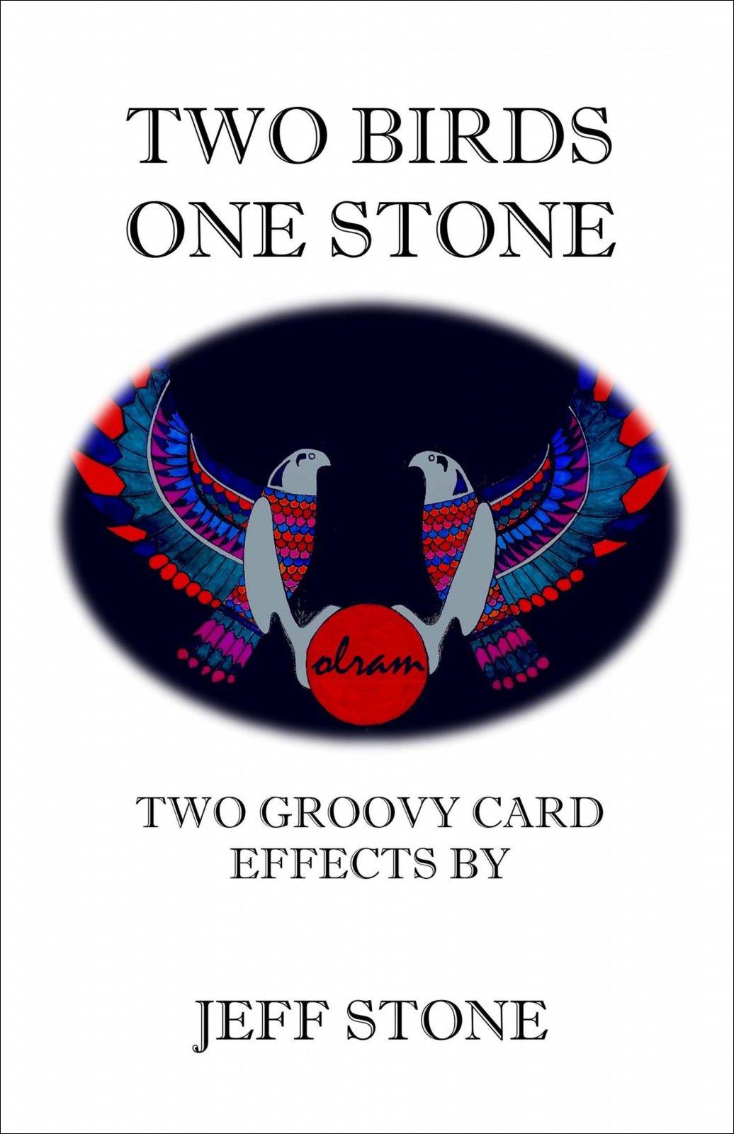 Two Birds One Stone by Jeff Stone : Lybrary.com