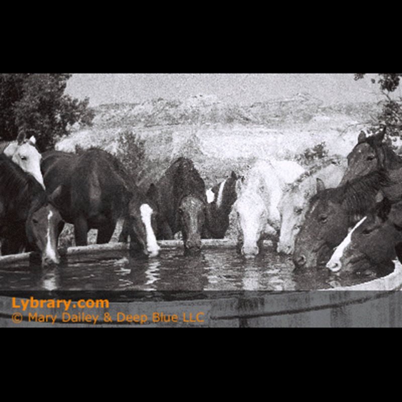 #AD100 High Noon by Arthur A. Dailey : Lybrary.com