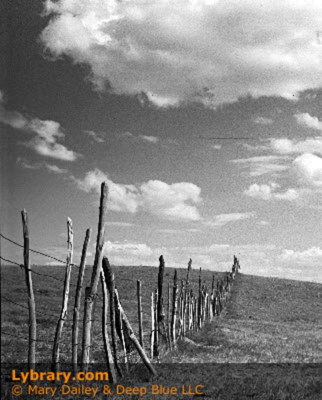 #AD192 The Old Fence by Arthur A. Dailey : Lybrary.com
