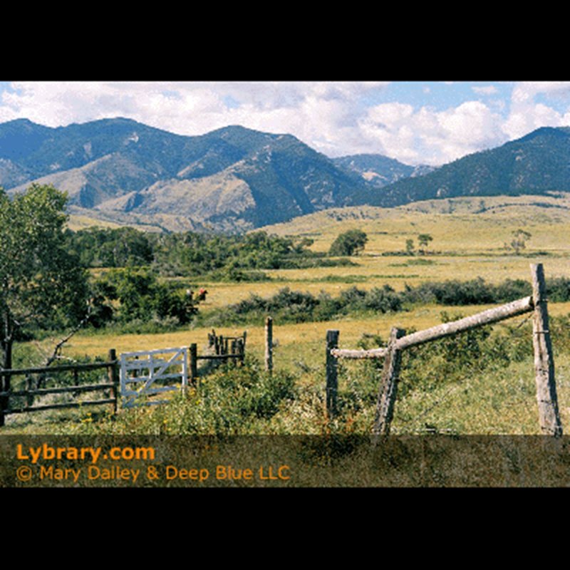 #AD553 The White Gate by Arthur A. Dailey : Lybrary.com