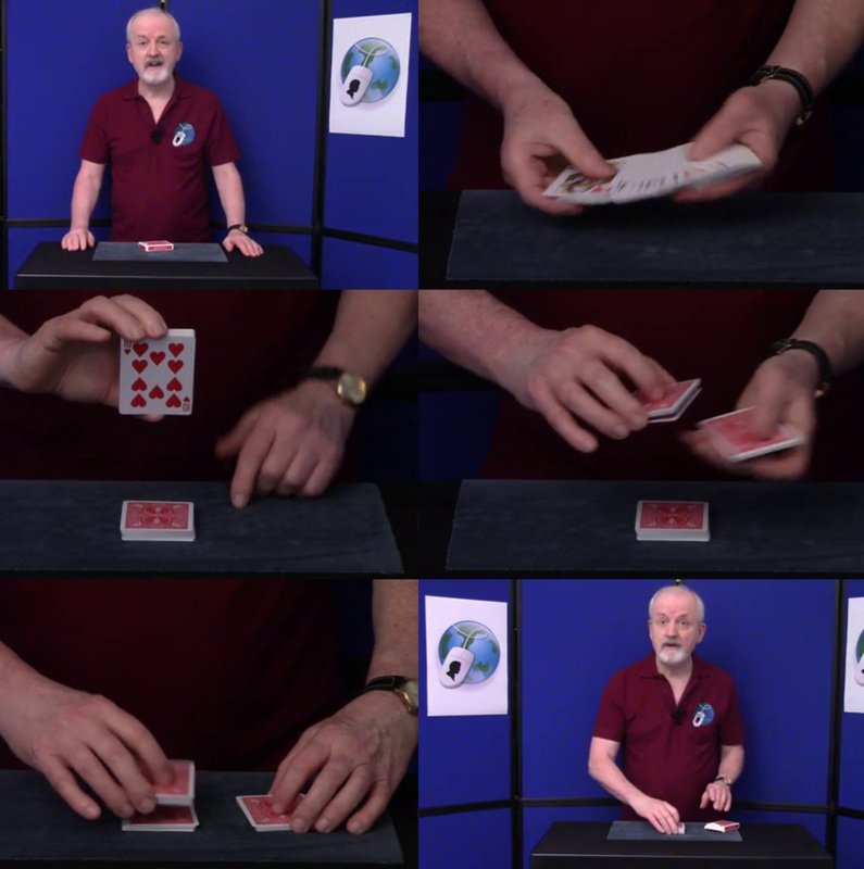 The Card Whisperer by Mark Leveridge : Lybrary.com