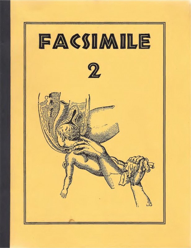 Facsimile 2 by Jon Racherbaumer : Lybrary.com