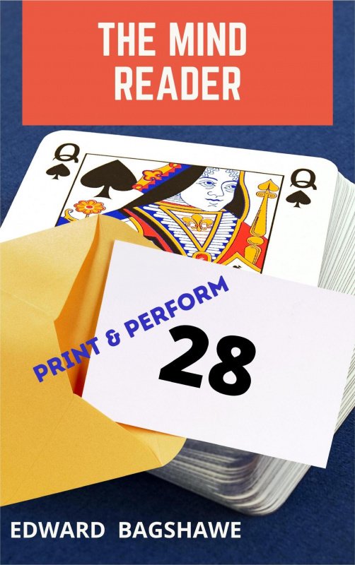 The Mind Reader by Edward Bagshawe : Lybrary.com