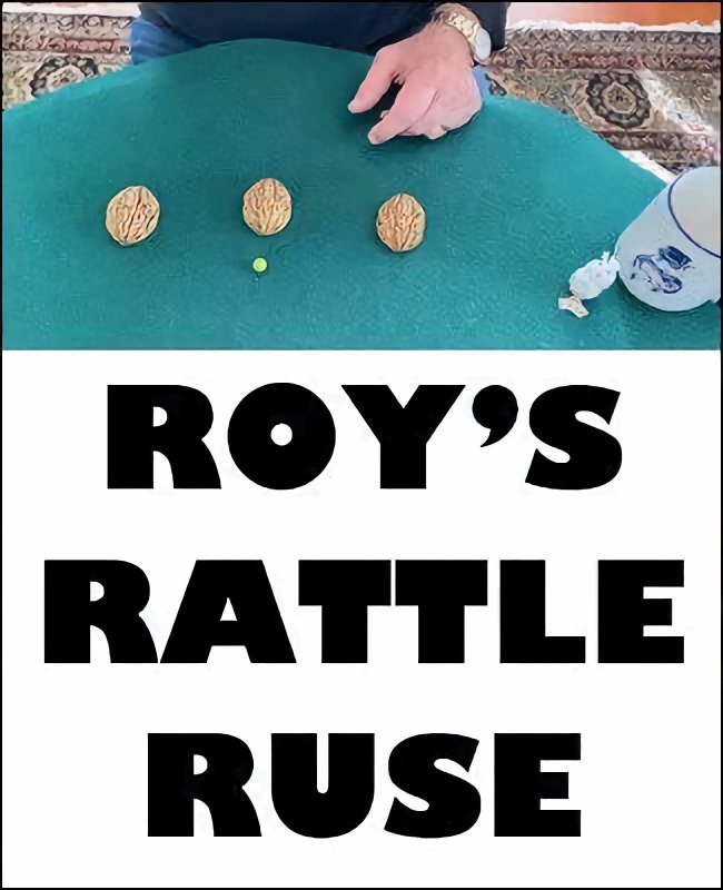 Roy's Rattle Ruse by Roy Eidem : Lybrary.com
