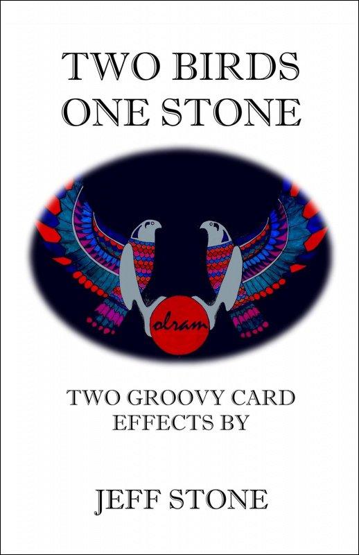 Two Birds One Stone by Jeff Stone : Lybrary.com